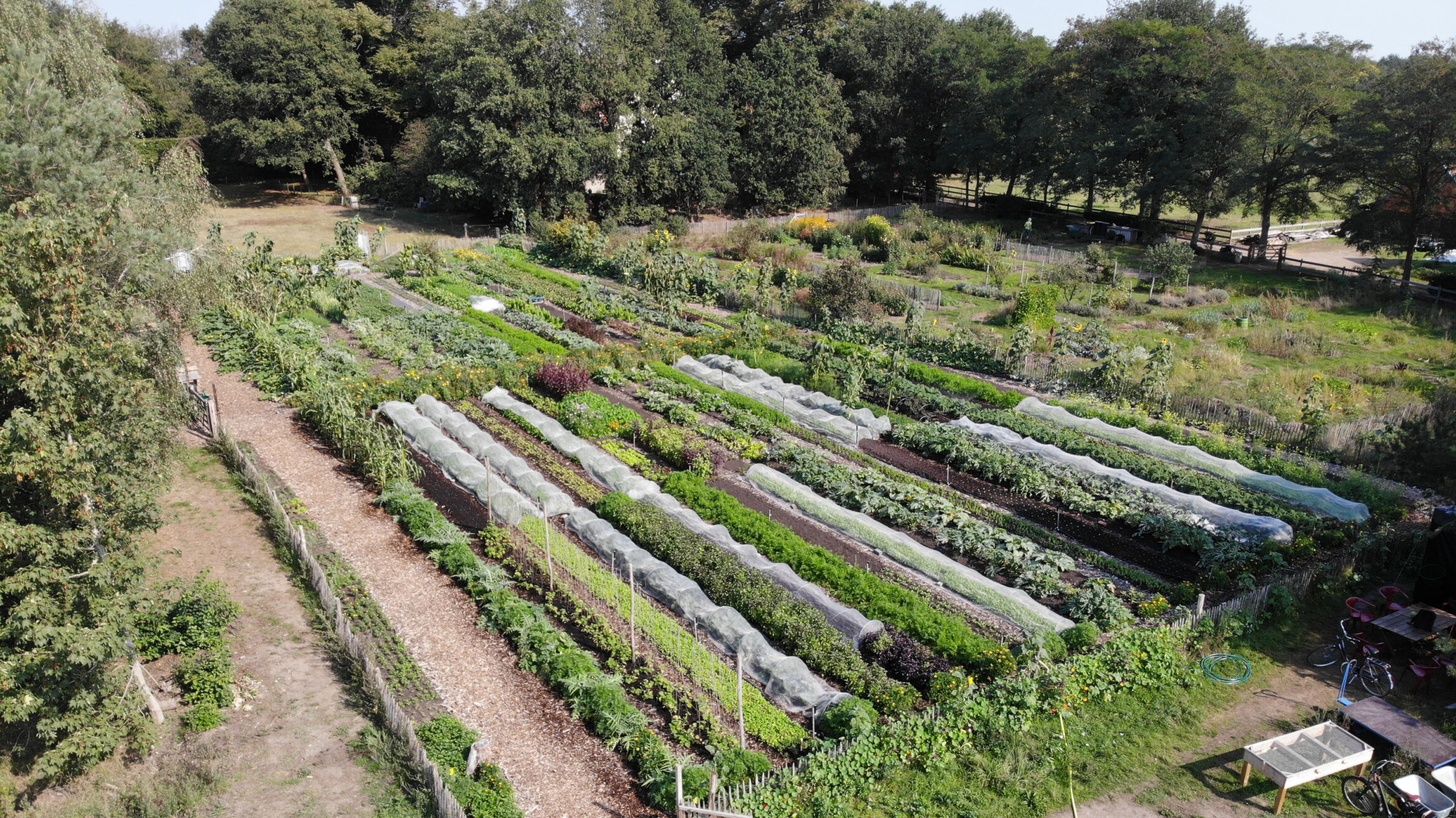 This regenerative farm is revolutionizing the way we produce food ...