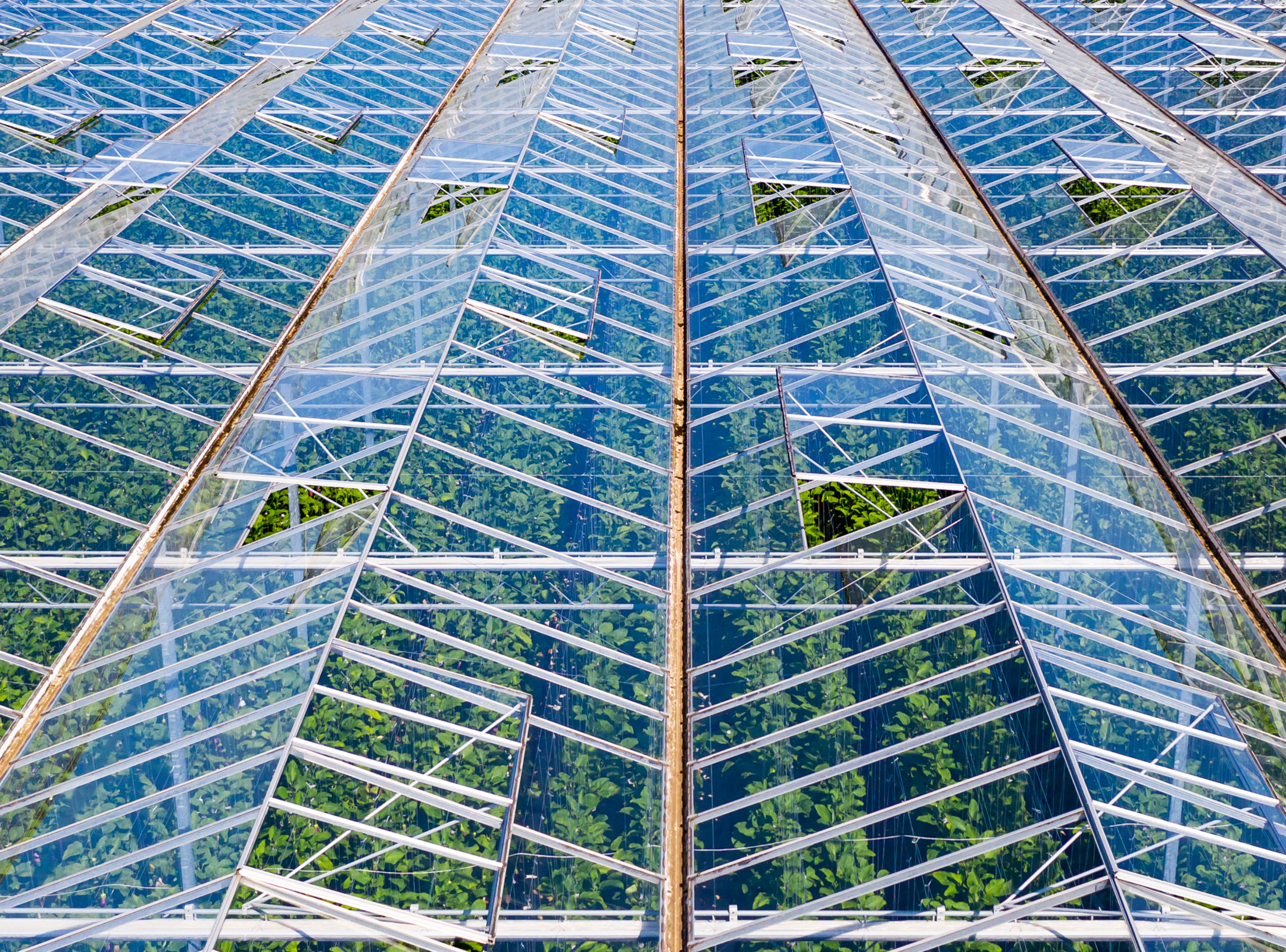 Get Involved - Sustainable Urban Delta