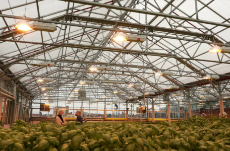 10 incredible urban food forests from around the world - Sustainable ...