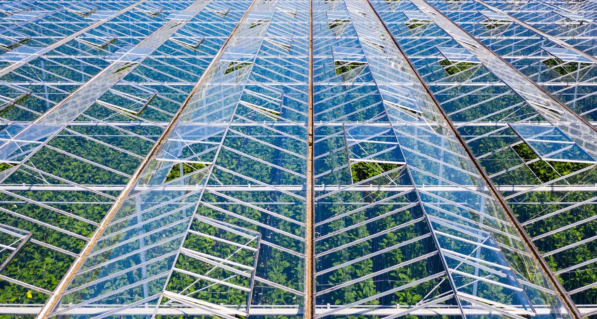 Donate - Sustainable Urban Delta