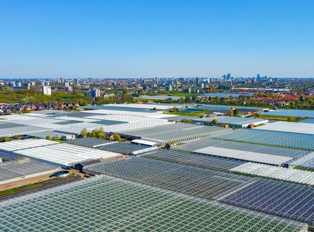 Projects Archive - Sustainable Urban Delta