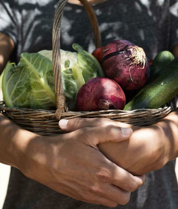 How An Indoor Urban Farm Transforms Food Security in Singapore
