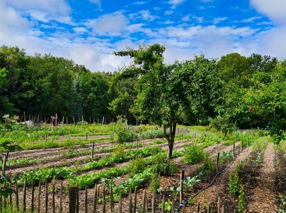 10 incredible urban food forests that are turning cities into food ...