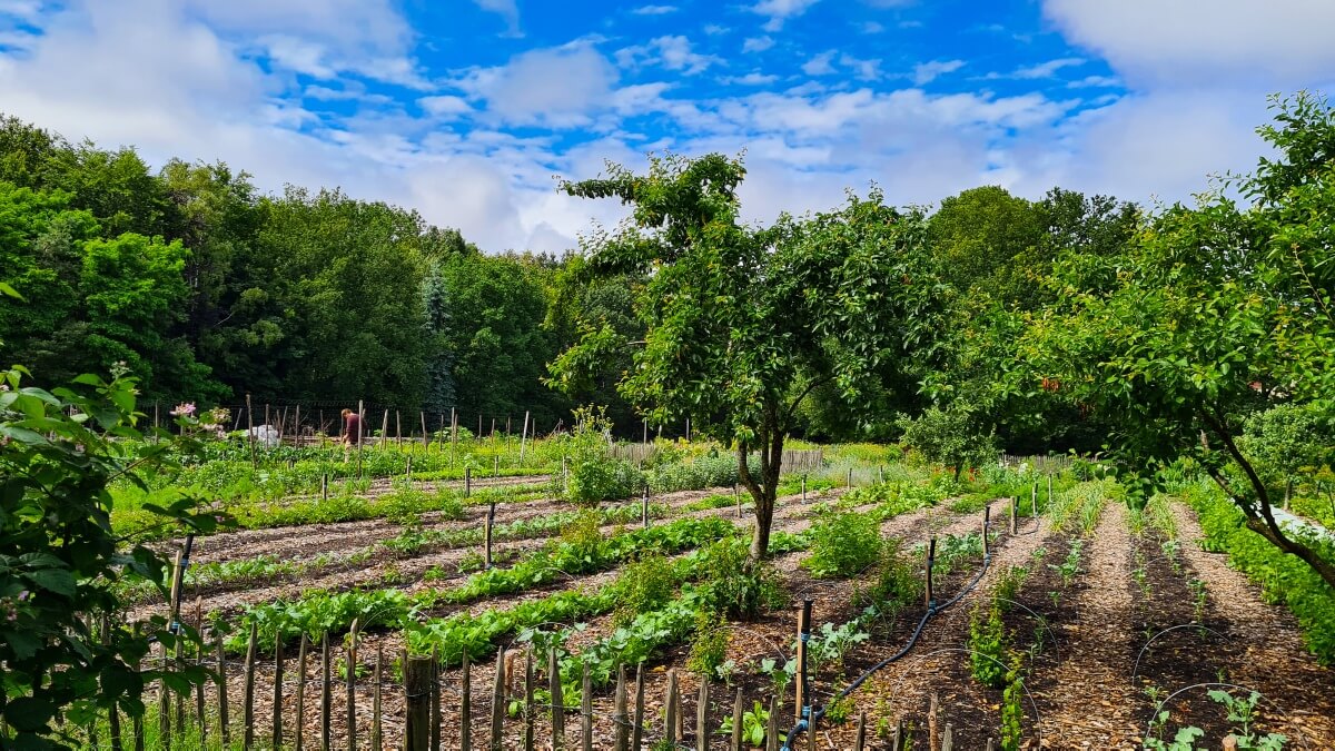 This regenerative farm is revolutionizing the way we produce food ...