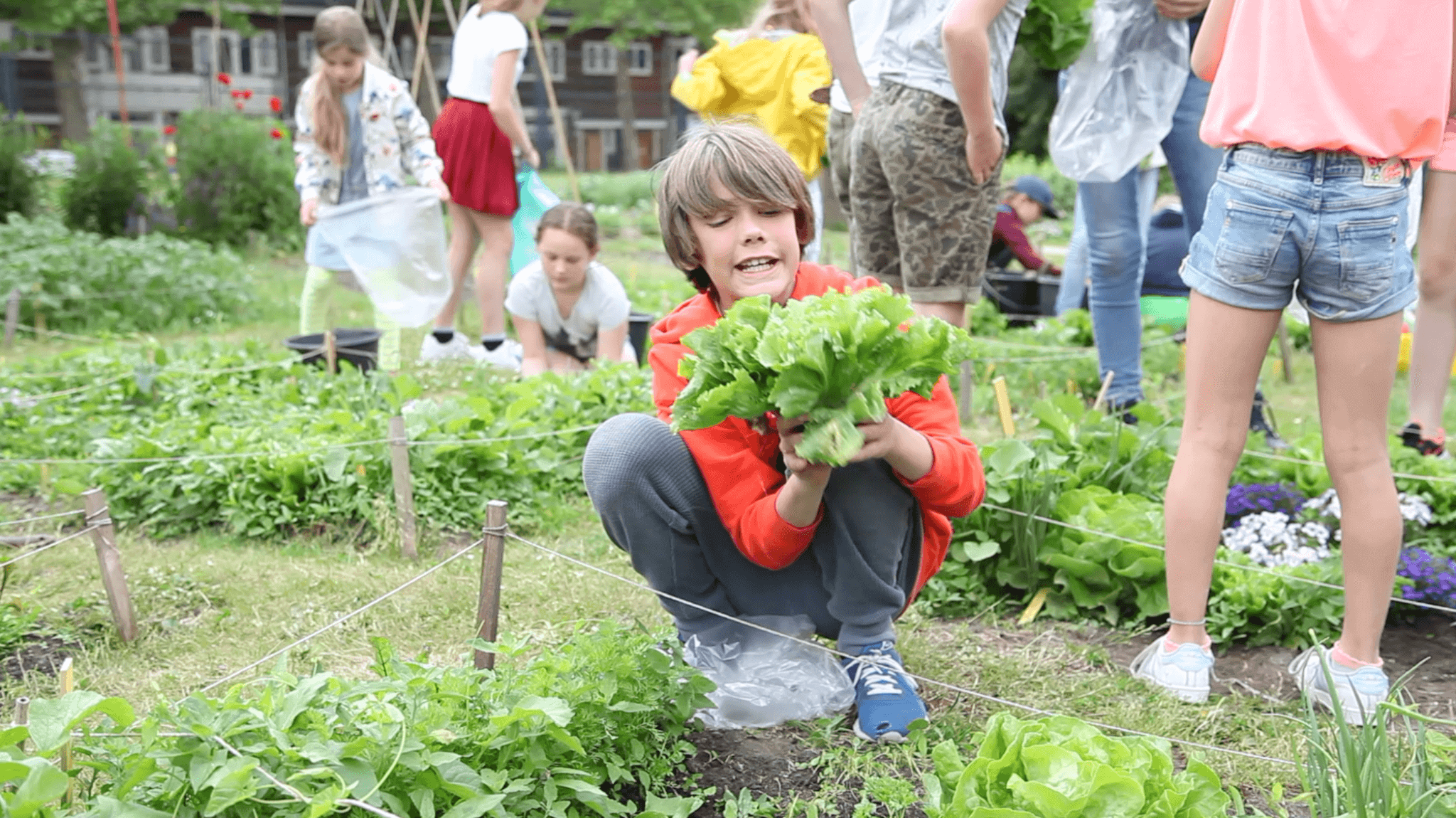 Why aren't we teaching all children how to grow their own food at ...