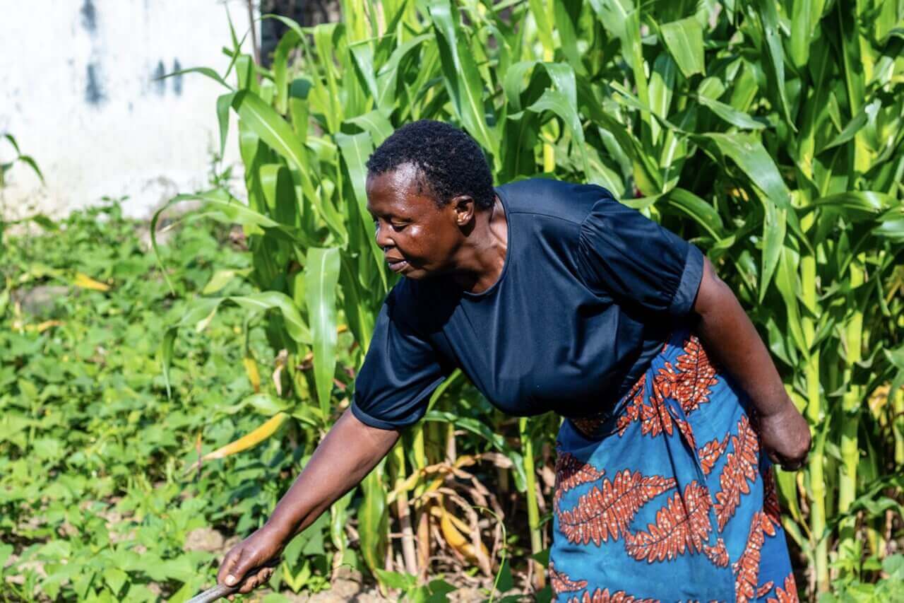 Fighting hunger, one garden at the time. How grassroots initiatives are ...
