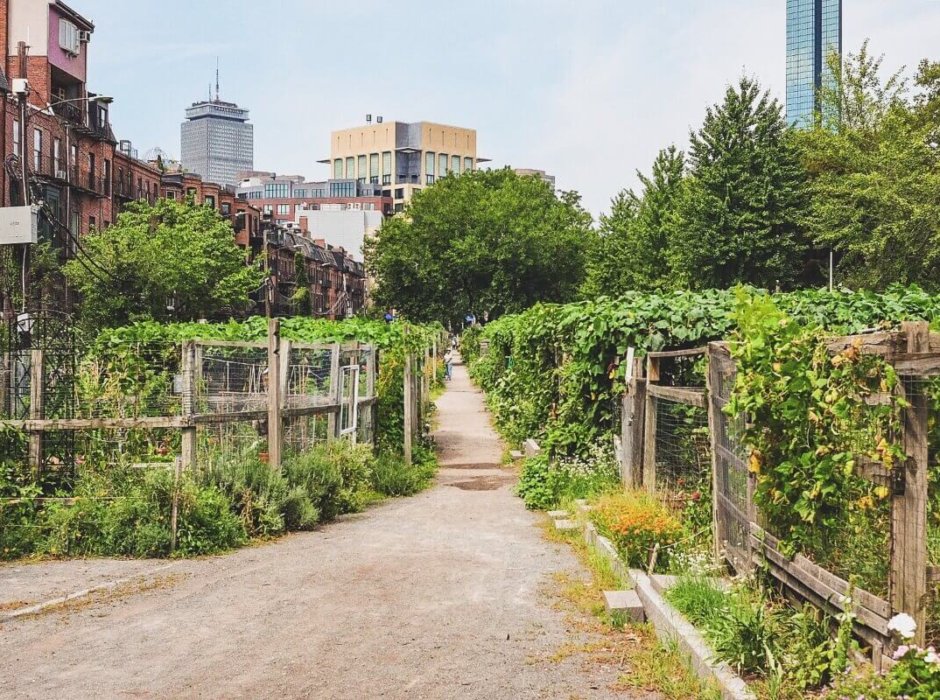 This rooftop farm in Rotterdam built a smart roof to fight against ...