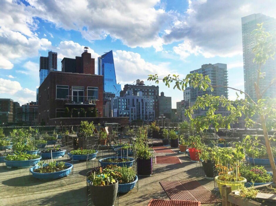 Standing strong together: how the Milan Urban Food Policy Pact is ...