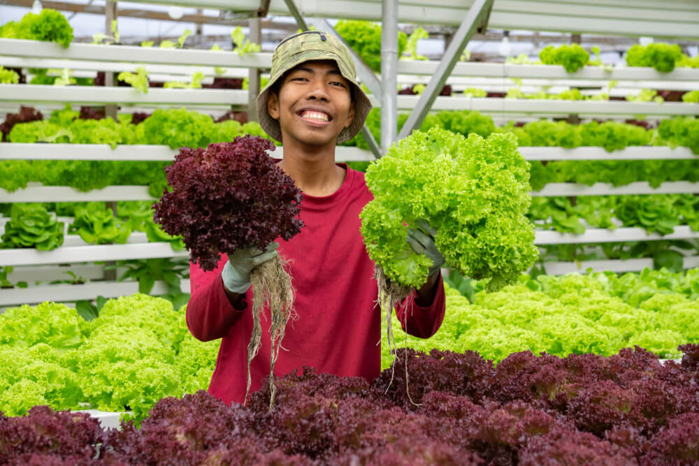 Grow up! 9 amazing vertical farms growing food inside the city ...