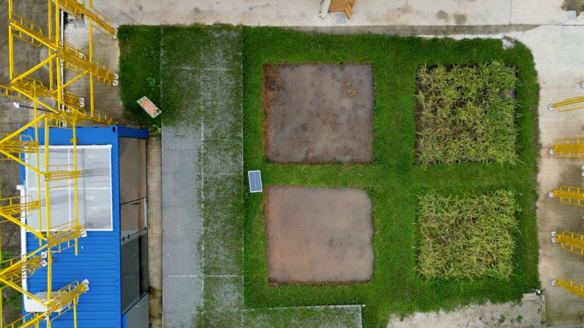 City Sprout Farm in Singapore Cultivates Community and Food