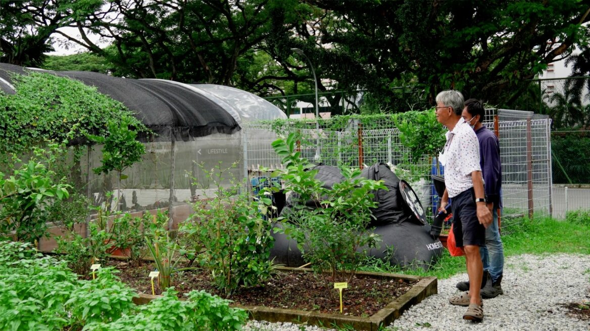 City Sprout Farm in Singapore Cultivates Community and Food