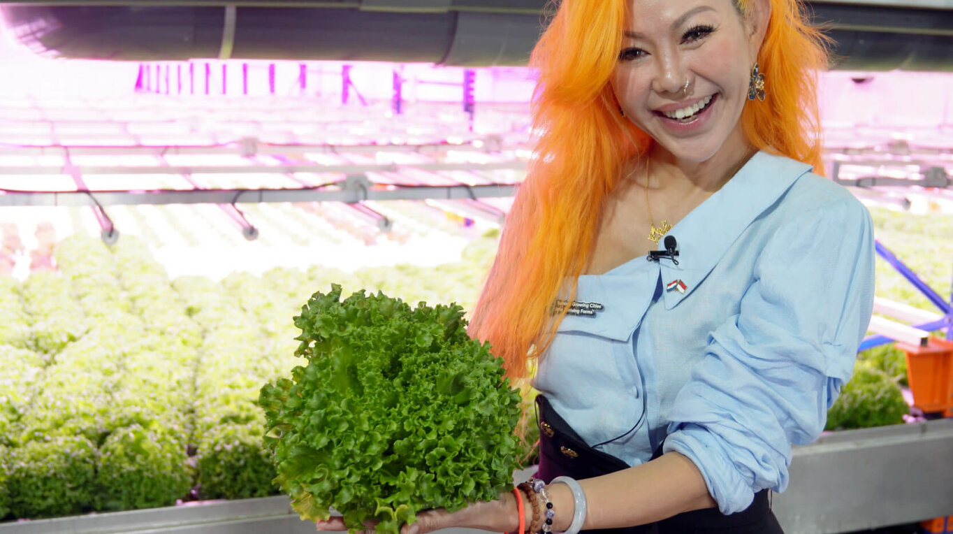 How An Indoor Urban Farm Transforms Food Security in Singapore