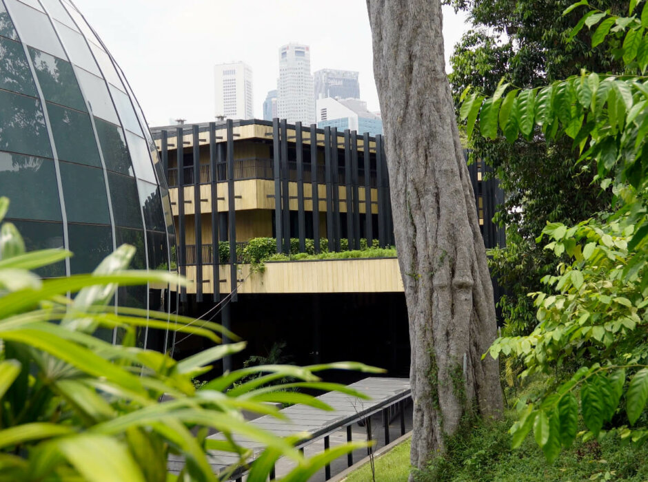 How An Indoor Urban Farm Transforms Food Security in Singapore