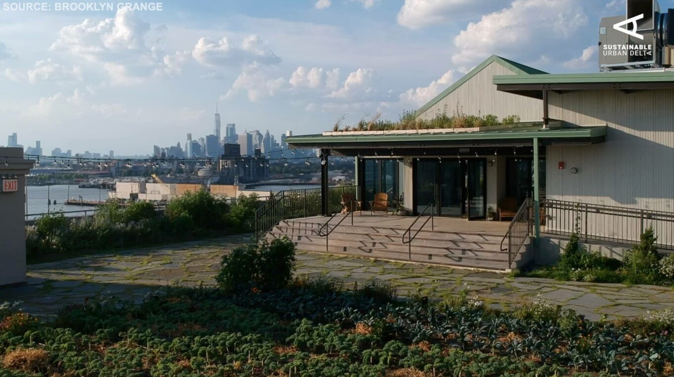 NYC's Urban Farming Best: Impactful Urban Agriculture Projects