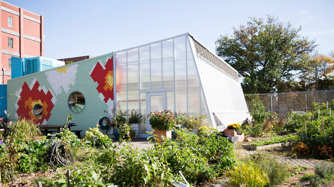 NYC's Urban Farming Best: Impactful Urban Agriculture Projects