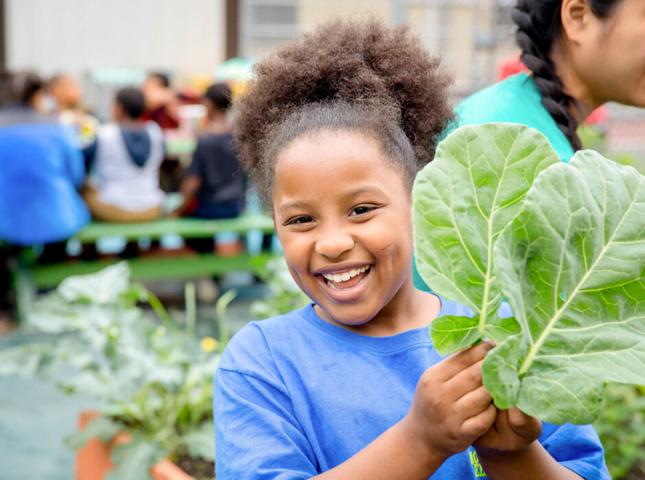 Stories - Sustainable Urban Delta